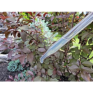 Carpenter Bee Trap Lure Attract More Bees to Your Traps All Natural Wood Bee Attractant