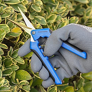 HOMEANING 3 Packs Garden Pruning Shears with Curved Blades, Garden Trimming Scissors, Gardening Hand Pruning Snips Titanium Coated Precision Bonsai Pruning Shears, Convenient Flower Cutters (Blue)