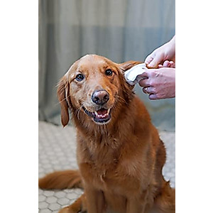 Four Paws Dog and Cat Ear Wipes, 25 count