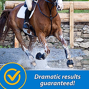 Farnam Fluidflex Liquid Joint Supplement for Horses, Helps Maintain Healthy Hip & Joint Function, 32 Ounces 32 Day Supply