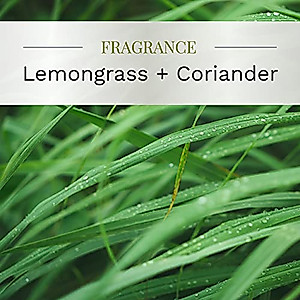 Essential Elements by Candle-lite Scented Candles, Lemongrass & Coriander Fragrance, One 14.75 oz. Three-Wick Aromatherapy Candle with 45 Hours of Burn Time, Off-White Color