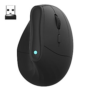 eirix Ergonomic Vertical Wireless Mouse: Rechargeable RGB Ergo Mouse with 3200 Adjustable DPI, Removable Palm Rest, Compatible with Windows and MAC OS