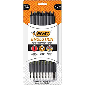 BIC Evolution Cased Pencil, 2 Lead, Gray Barrel, 24-Count