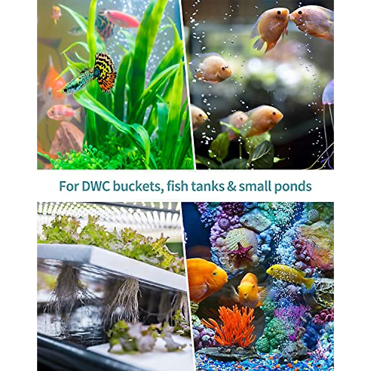 Pawfly Aquarium Air Stone Disc Bubbler 1.5 Inch Bubble Release Tool Round Oxygen Diffuser for Nano Air Pumps Fish Tanks Buckets Small Ponds and DWC Reservoirs, 4 Pack