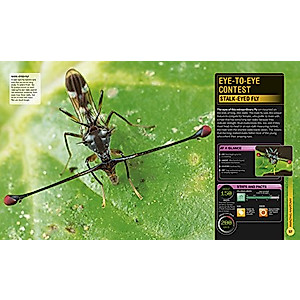 Super Bug Encyclopedia: The Biggest, Fastest, Deadliest Creepy-Crawlers on the Planet (DK Super Nature Encyclopedias)