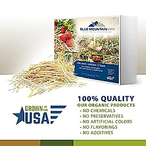 Organic Garden Straw (10lb) | Blue Mountain Hay | Straw Mulch for Raised Bed Gardens, Yard Landscaping, New Lawn Grass Seed Plantings, Tomato & Vegetable Compost & Fertilizer | Covers up to 150 sq ft