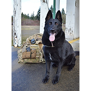 KINETIC PERFORMANCE DOG FOOD Dry Dog Food Puppy 28K