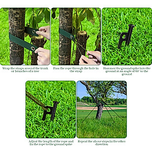 Tree Stakes - Heavy Duty Steel Tree Stake Straightening Kit, Tree Stakes and Supports for Young Trees, Include 6 PCS Steel Tree Stake, Tree Straps & Rope Black