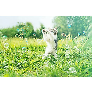 iwanga Catnip Bubbles Catnip Toys for Cats 4oz*2- Unbelievable Catnip Flavor Bubble for Cats -Non-Toxic Formula,Let The cat Chase Avoids Boredom & Keeps Pets Active.