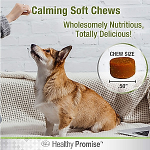 Four Paws Healthy Promise Calming Chews for Dogs 90 Count