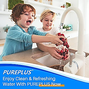 PUREPLUS 10"×4.5" String Wound Sediment Filter Compound With Iron Reducing Filter,Compatible With Whole House Water Filtration System For Well Water, 1Pack