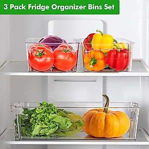 Lunhoo Refrigerator Organizer Bin, Clear Food Container with Handle, Plastic Storage Bins for Refrigerator, Kitchen, Cabinet (3 Pack, Transparent)