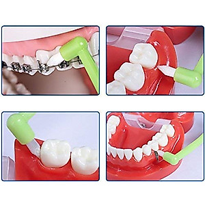 Boyizupha 7 Pcs End Tuft Tapered Trim Toothbrush,Single Compact Interspace Brush,Medium(Color Random)