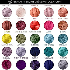 Ion Permanent Brights Creme Hair Color Titanium Titanium