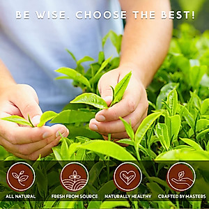 Organic Black Tea Pods for Keurig - Naturally Caffeinated Tea for KCup - Premium Unsweetened Black Tea for Hot Tea Brewing or Iced Tea by Teavity (36 Tea Pods)