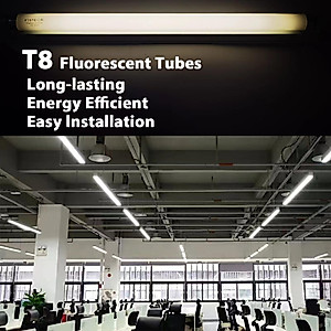 18 Inch F15T8/CW T8 15W Fluorescent Light Bulb Cool White Compatible for Philips GE F15T8/SP41 Replacement Bulb G13 Base 6 Count