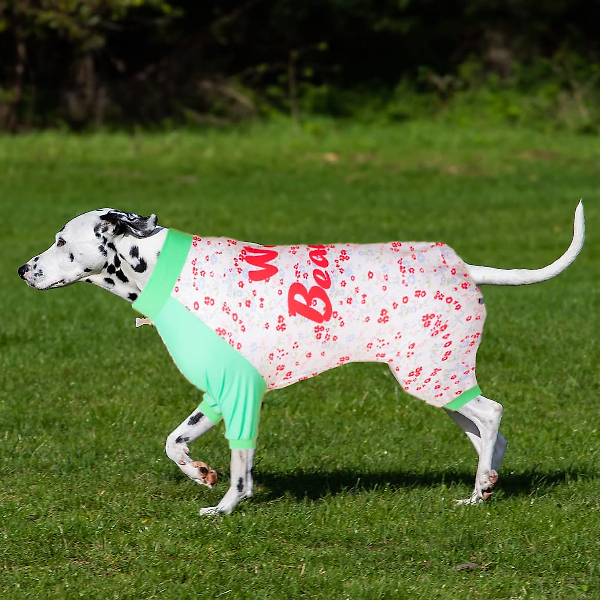 LovinPet Dog Pjs Large, UV & Post Operative Protection, 4 Legged High Collar Dog Onesies, Lightweight Stretchable Floral Print White, Red Prints Large Dog Pajamas as Base Shirt for Dog Dresses XL