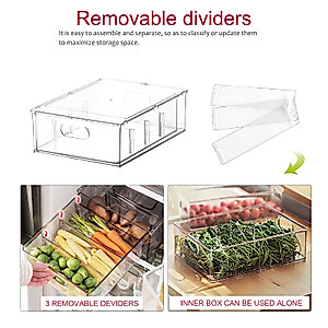 shopwithgreen Refrigerator Organizer Bins with Pull-out Drawer, Drawable Clear Fridge Drawer Organizer with Handle, Plastic Kitchen Pantry Storage Containers