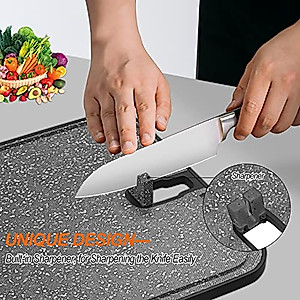 Viretang Plastic Cutting Board, 1 Pieces Dishwasher Safe Cutting Boards for Kitchen with Juice Grooves, Non-Slip, Reversible and Knife-Friendly with Built-in Sharpener & Grinding Area（Black）