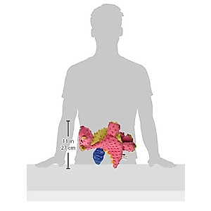 goDog Bubble Plush Dragons Squeaky Dog Toy, Chew Guard Technology - Coral, Large