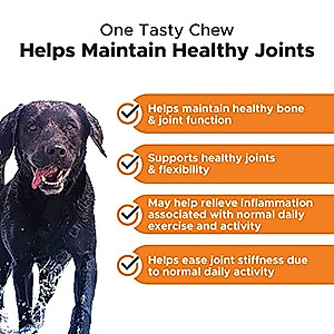 PetHonesty Hip & Joint Health - Dog Joint Supplement Support for Dogs with Glucosamine Chondroitin, MSM, Turmeric - Glucosamine for Dogs Soft Chews - Advanced Pet Joint Support and Mobility - (90 ct)