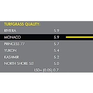 Monaco Bermuda Grass Seed (50 lbs.)