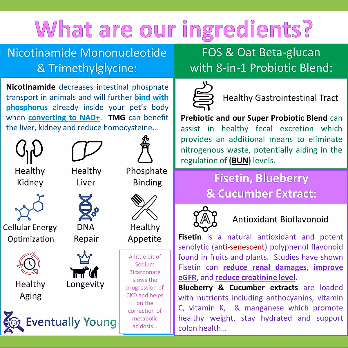 Eventually Young 12-in-1 Kidney Support for Dog & Cat with NMN & Fisetin - Super Phosphate Binder Kidney and Liver Supplement for Feline, Canine Healthy Aging & Longevity (30 Capsules)