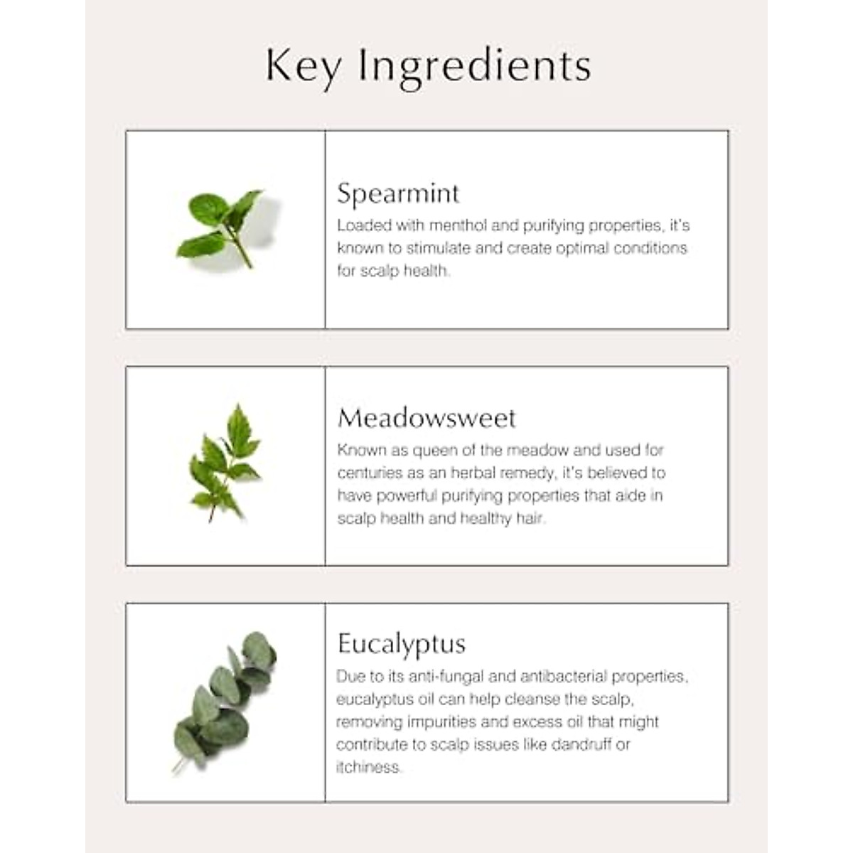 Scalp Stimulating Shampoo with Spearmint & Meadowseet 8 oz