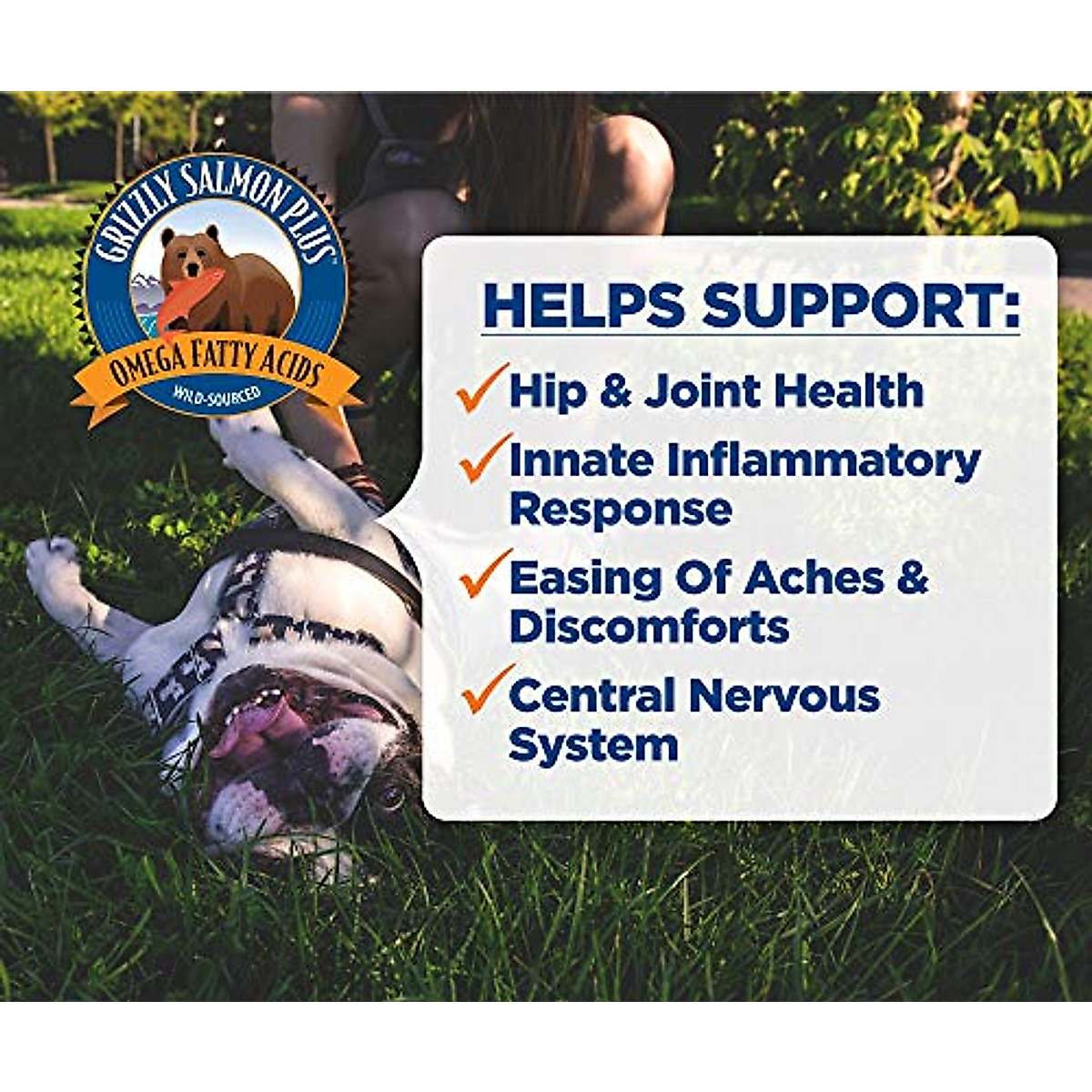 Grizzly Wild Alaskan Salmon Oil Dog Food Supplement Omega 3 Fatty Acids, 16 oz