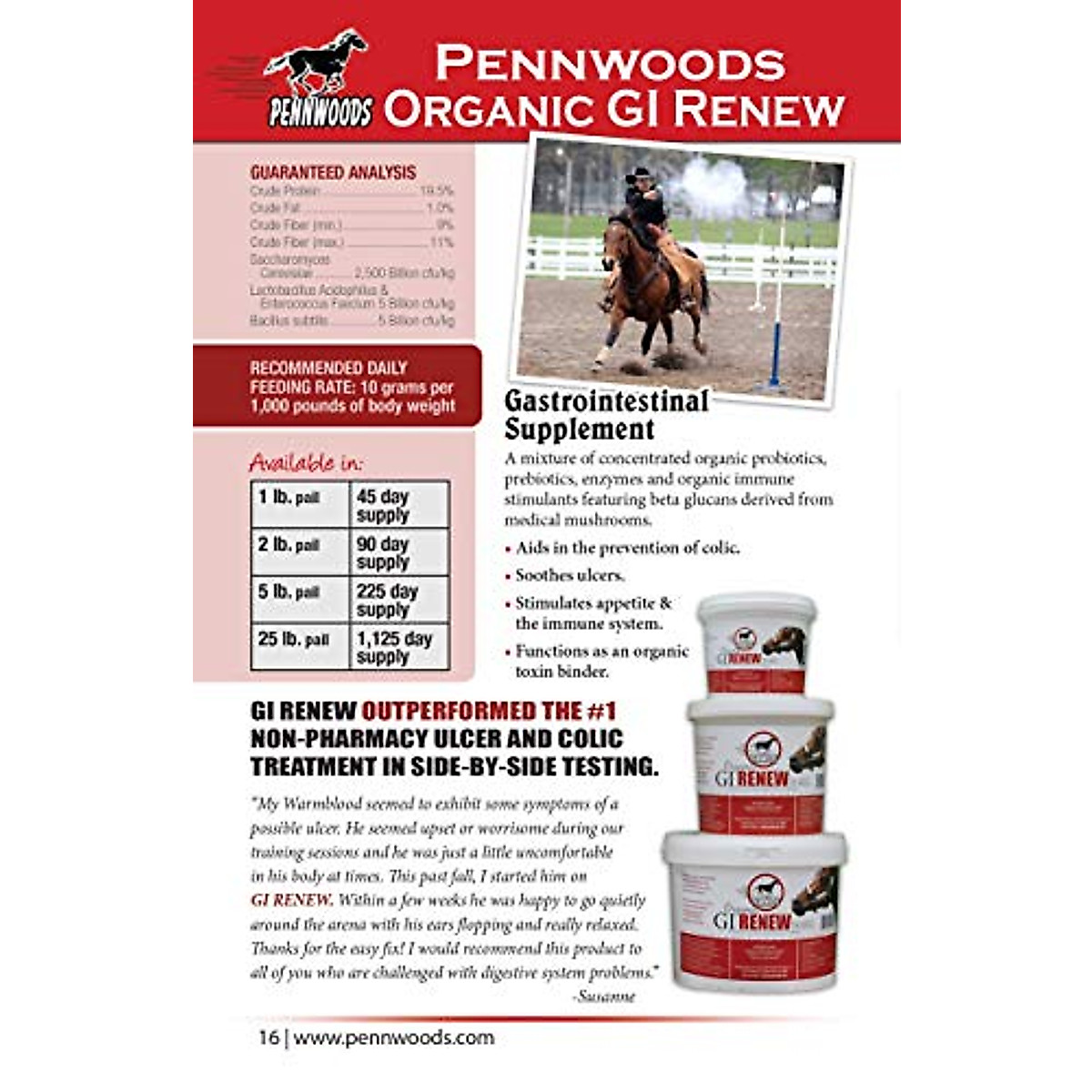 Pennwoods GI Renew, Probiotics for Equine, Immune and Appetite Stimulation, Prebiotics, Digestive Enzymes | Horse Supplement Providing Ulcer Relief and Organic Toxin Binder, 5 LB Pouch