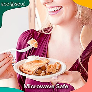 ECO SOUL 100% Compostable 6 Inch Paper Plates [100-Pack] Disposable Party Plates I Heavy Duty Eco-Friendly Sturdy Appetizer Plates Disposable I Biodegradable Unbleached Sugarcane Eco Plates