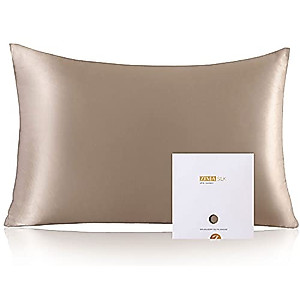 ZIMASILK 100% Mulberry Silk Pillowcase for Hair and Skin Health,Soft and Smooth,Both Sides Premium Grade 6A Silk,600 Thread Count,with Hidden Zipper,1pc (Queen 20''x30'',Taupe)