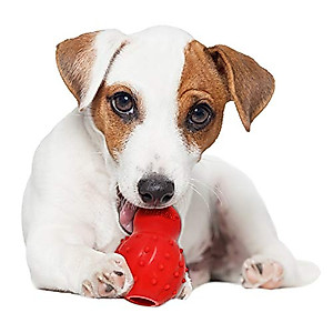 Nylabone Chew & Treat Toy for Dogs - Interactive Dog Enrichment Chew & Treat Toys