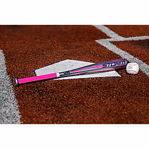Rawlings | STORM T-Ball Bat | USA Softball & Baseball | -12 Drop | 24" | Silver/Pink