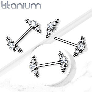 Dynamique Implant Grade Titanium Nipple Barbells With Bezel Set CZ and Micro Ball Cluster Internally Threaded Ends (Sold Per Pair Or Per Piece)