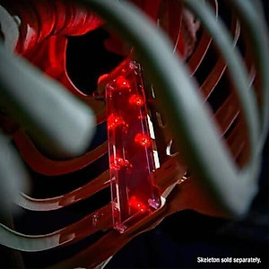 Home Depot 12 Ft. Skeleton Lighting Kit