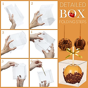 80 Pcs Candy Apple Boxes with Hole and Sticks Clear Candy Boxes for Wedding Transparent Plastic Caramel Apple Boxes for Wedding Baby Shower Party Cake Pops Cookies Chocolates Gift 4 x 4 x 4 Inch
