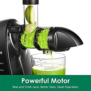 Slow Masticating Juicer,Brecious Cold Press Juicer with 2 Speed Modes & Quiet Motor,Juicer Machines Vegetable and Fruit with Reverse Function,Celery Juicer,BPA-Free,Easy to Clean (Black)