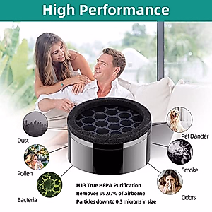 True HEPA Replacement Filter Compatible with Acekool D01 Air Purifier, H13 Grade 3-in-1 Pre-Filter, True HEPA Filter, High-Efficient Activated Carbon Filter, White (D01LX)