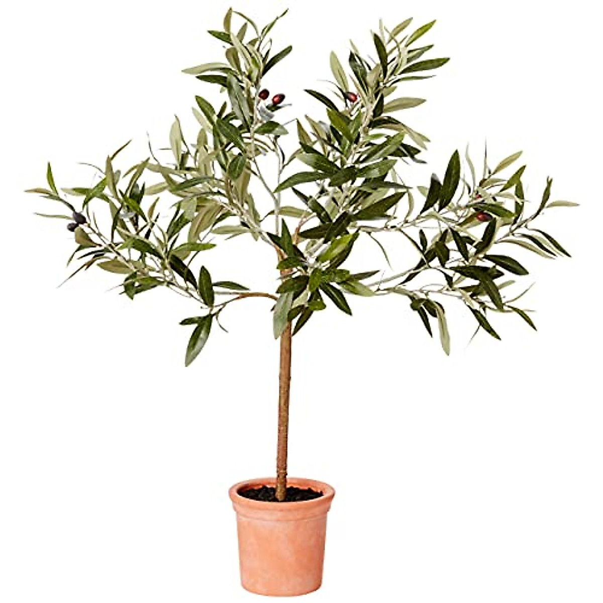 Amazon Brand - Stone & Beam Artificial Olive Tree Topiary with Faux Terracotta Pot, 2.4 Feet (28.8 Inches), Indoor