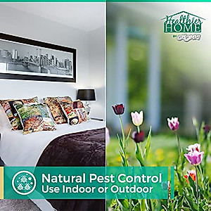 CHOMP! Insect and Pest Control for Home, Bedding and Indoor: Plant-Based Ant, Bed Bug, Dust Mite, Spider and More - Mint Scent 2-Pack, 24 Oz R2U, 24oz 3X Concentrate