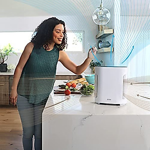 Pure Enrichment True HEPA Air Purifier with UV-C Light for Medium-Sized Rooms