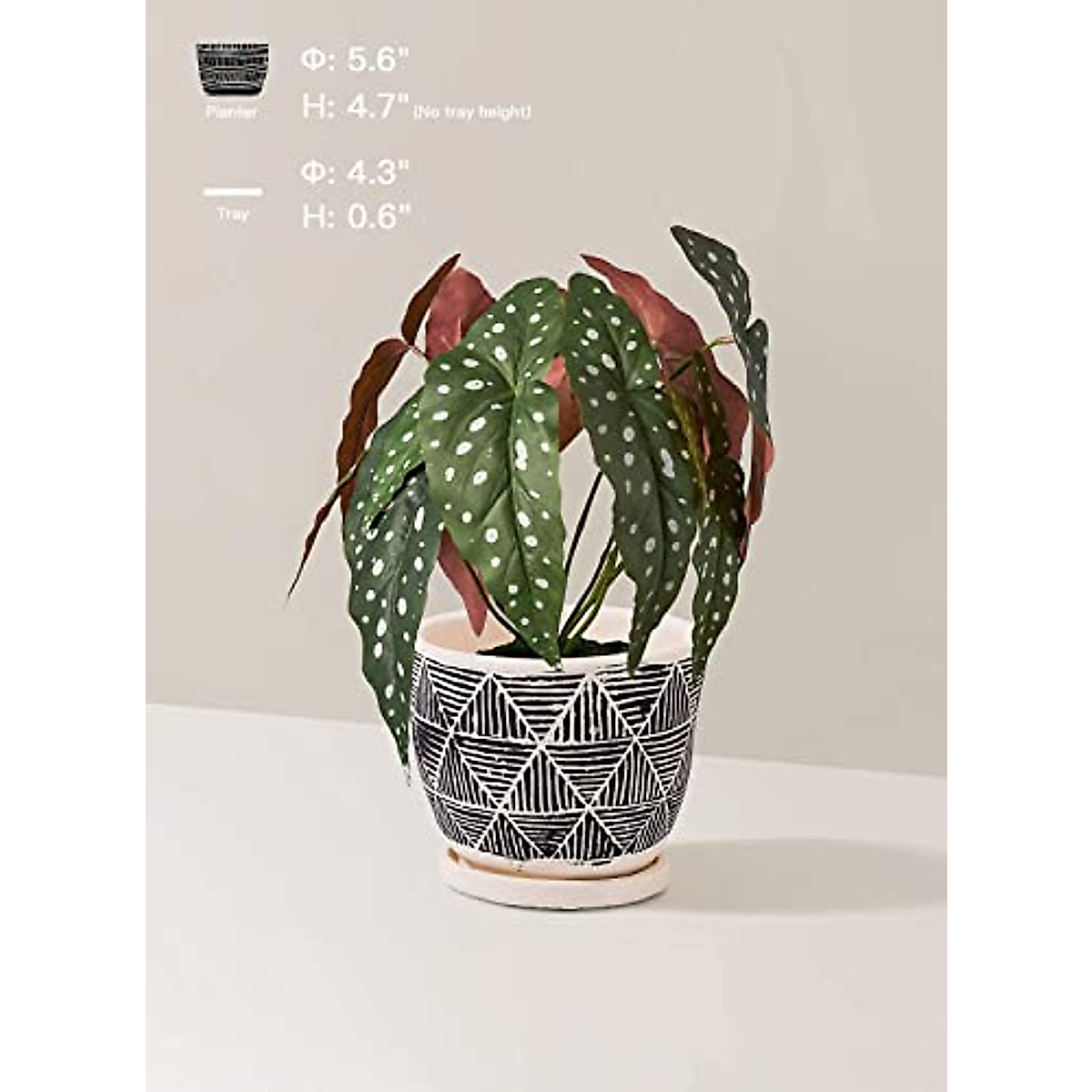 LE TAUCI Cement Planters Pots for Indoor Plants, 5.5 Inch Boho Plant Pots with Drainage Holes & Saucers, Decorative Succulent Pots Indoor, Bonsai Pots, Unglazed, Set of 2