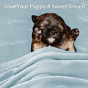 Shilucheng Dog Blanket with Fluffy Premium Fleece Throw for Dog,Puppy, Cat,Pet .Blanket Throw Protects Couch, Bed, Car Seat. (M(43"X60"),Turquoise)
