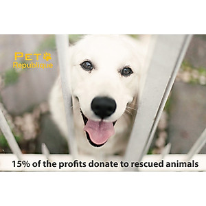 Pet Republique Small Toothbrush for Dogs Cats - Cat Toothbrush, Small Dog Toothbrush - Designed for Cat, Kitten, Puppy, and Small Dog Like Chihuahuas, Yorkshire, and Poodle (6 Count)