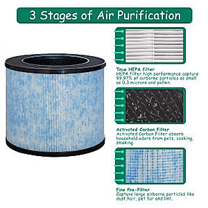 Asheviller F100 Filter Replacement, Compatible with Instant® AP100 Small Air Purifier, H13 Grade True HEPA Filter with Antimicrobial Coating and Activated Carbon Filter, 2 Pack
