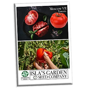 Moscow VR Tomato Seeds, 50 Heirloom Seeds Per Packet, (Isla's Garden Seeds), Non GMO Seeds, Botanical Name: Solanum lycopersicum, Great Home Garden Gift