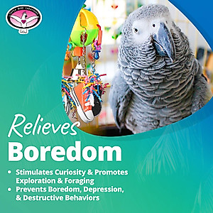 Super Bird Creations SB1105 Kick Ball Bird Toy, Medium/Large Bird Size, 12" x 4"