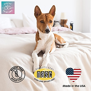 Cranberry Chews for Dogs - UTI, Bladder, Kidney, & Urinary Tract Support - Dog Health Supplements Contain Cranberry Extract, Echinacea, Vitamin C, and Astragalus Root - 60 Soft Treats