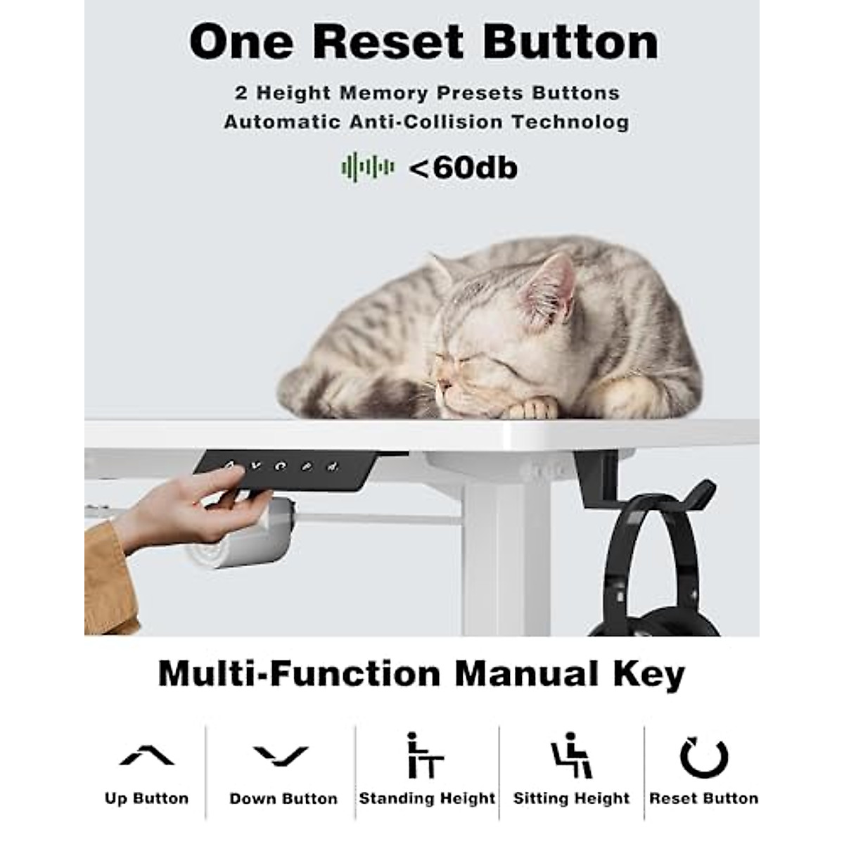 Shahoo Electric Standing Desk, 43 Inch Height Adjustable Home Office Table with Headphone Hook and Cup Holder, Withe Legs/Withe Top